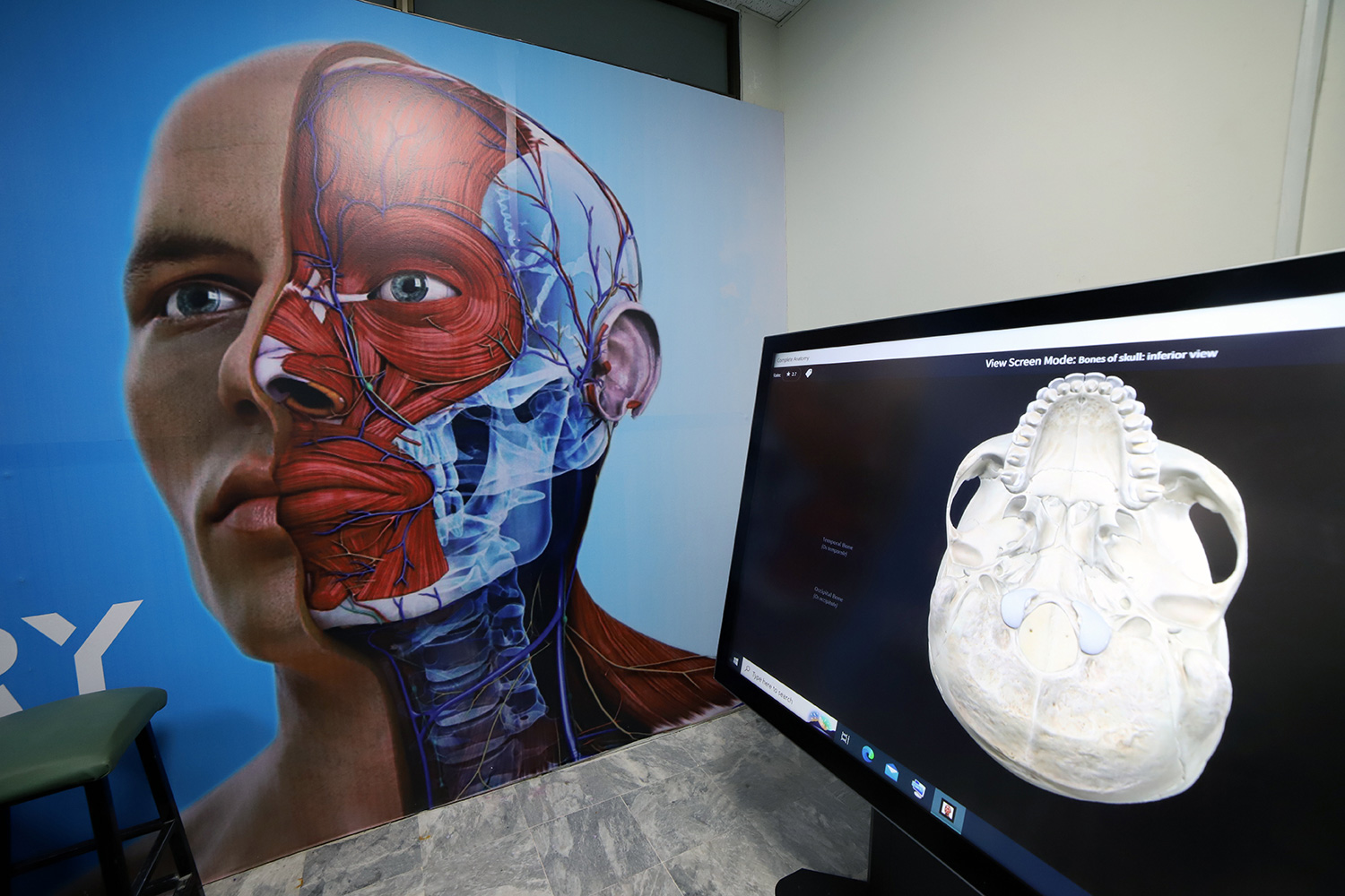 Faculty Members | Islamic International Dental College (IIDC) | Faculty ...